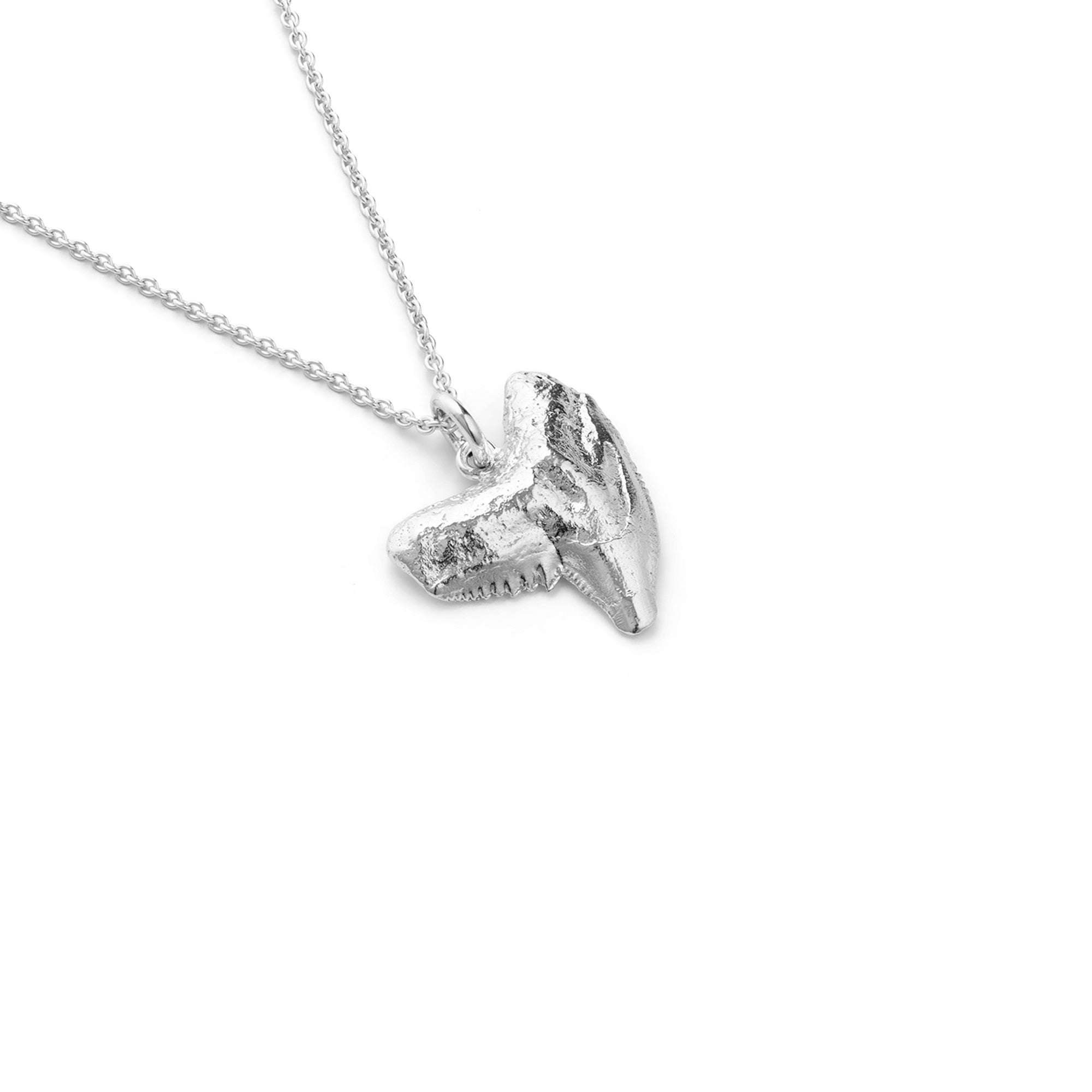 Shark Tooth Silver Pendant – NUIT et LINETTE
